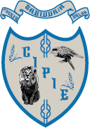 CIPIE – Colegio Interdisciplinario de Profesionistas en Innovación ...